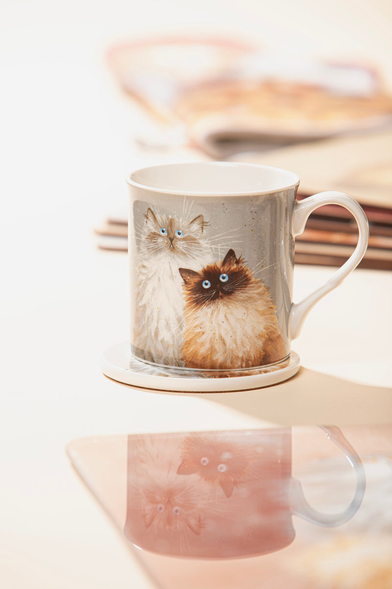 Kim's Cats Sully & Bucky Mug & Coaster Set – Ashdene