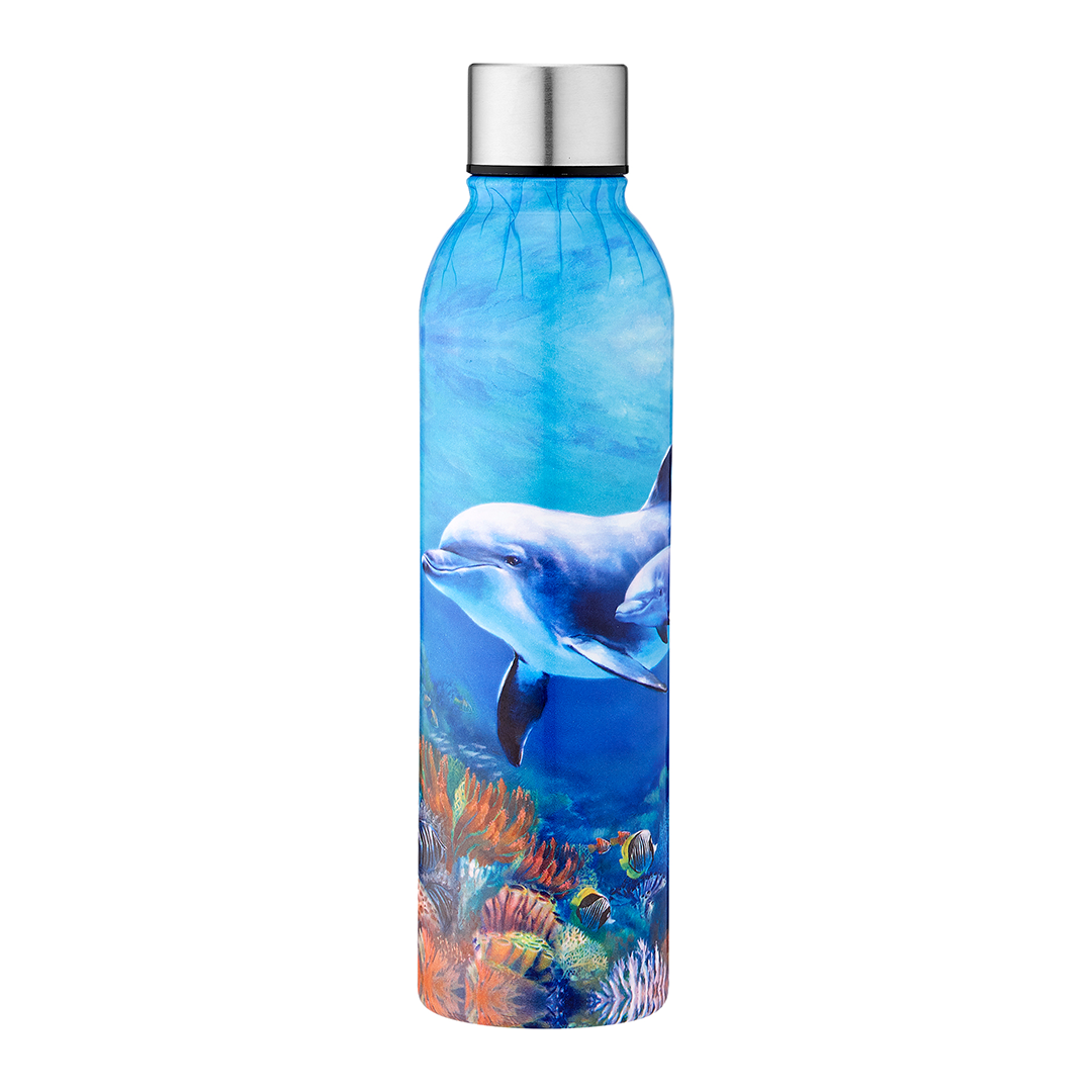 Playful Dolphins Reef Exploring Drink Bottle – Ashdene